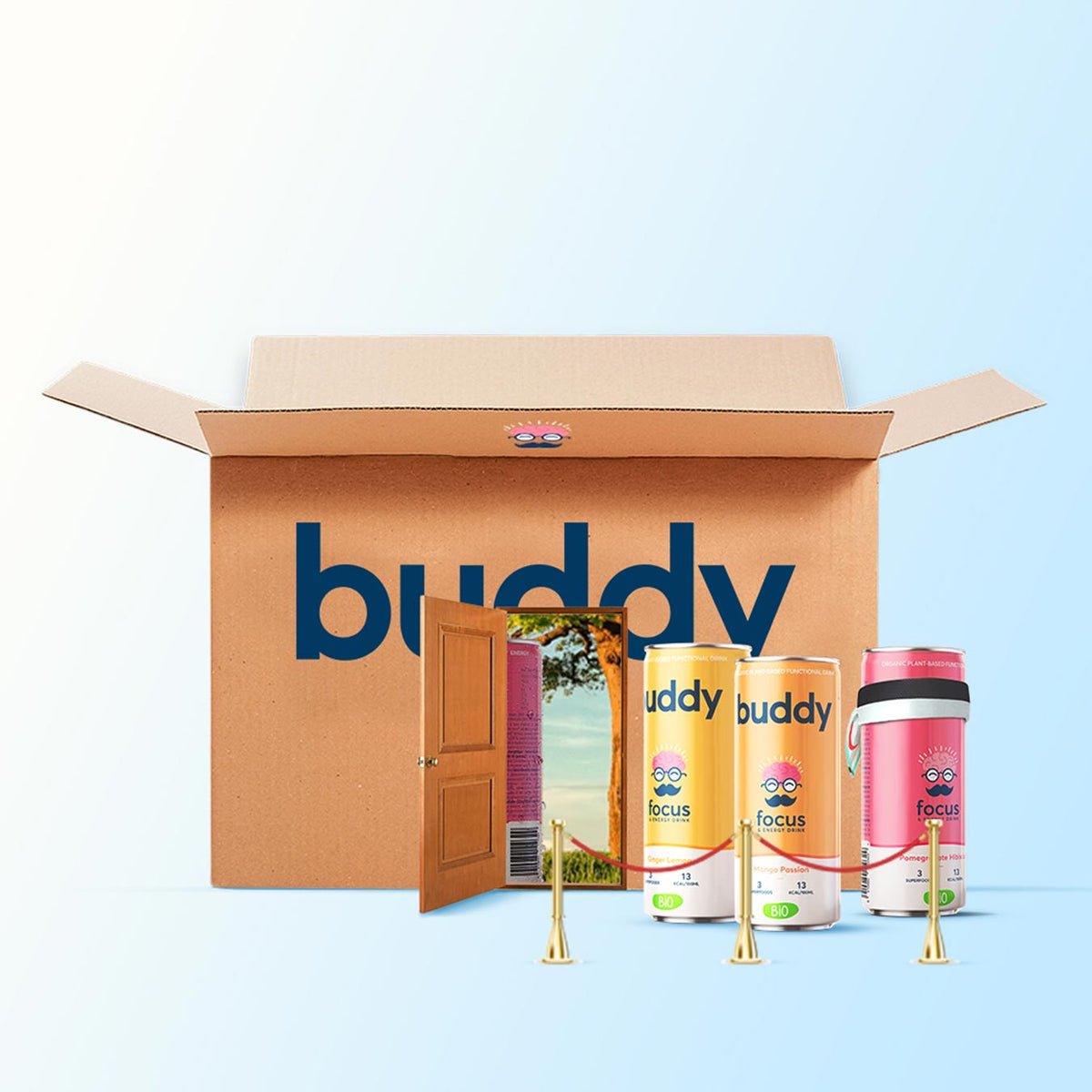 Buddy Energy Drink Bio | Boisson Énergisante Naturelle - BuddyDrink.be